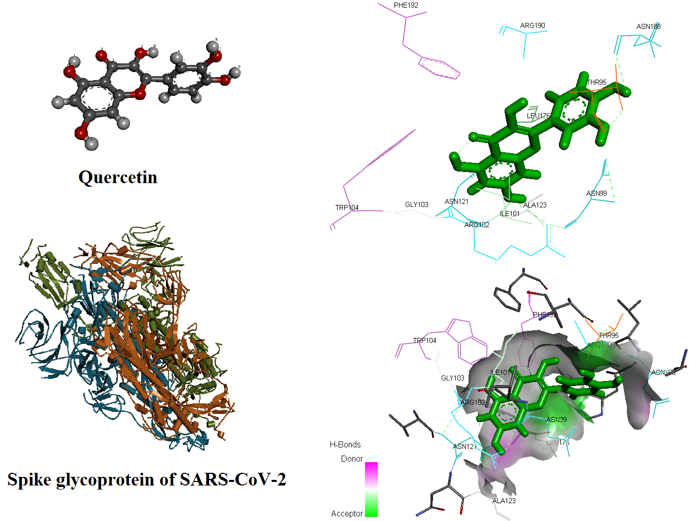 Antimicrobial applications of lichens: secondary metabolites and green ...