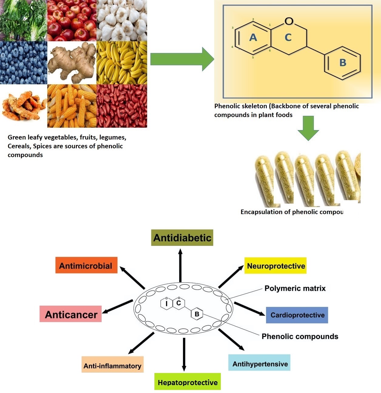 Nano Micro Biosystems - Articles List